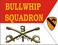 Bullwhip Squadron Home Page